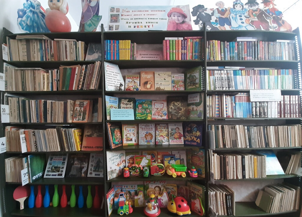 Kütüphaneler Библиотека с. Клинцовка, Saratovskaya oblastı, foto