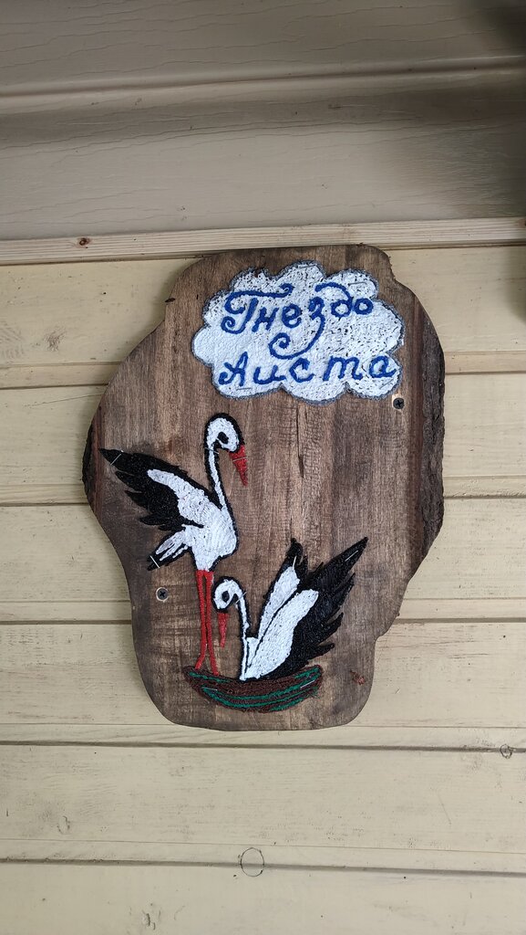 Konuk evi Гнездо аиста, Pskovskaya oblastı, foto