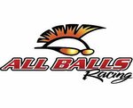 All Balls Racing (Moscow Region, Krasnogorsk Urban District, Nakhabino Urban-type Settlement, ulitsa Gorem-28), motosiklet yedek parçaları  Moskova ve Moskovskaya oblastından
