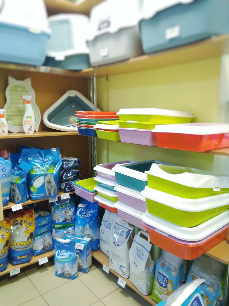 Petshop Zoomarket, Petrozavodsk, foto