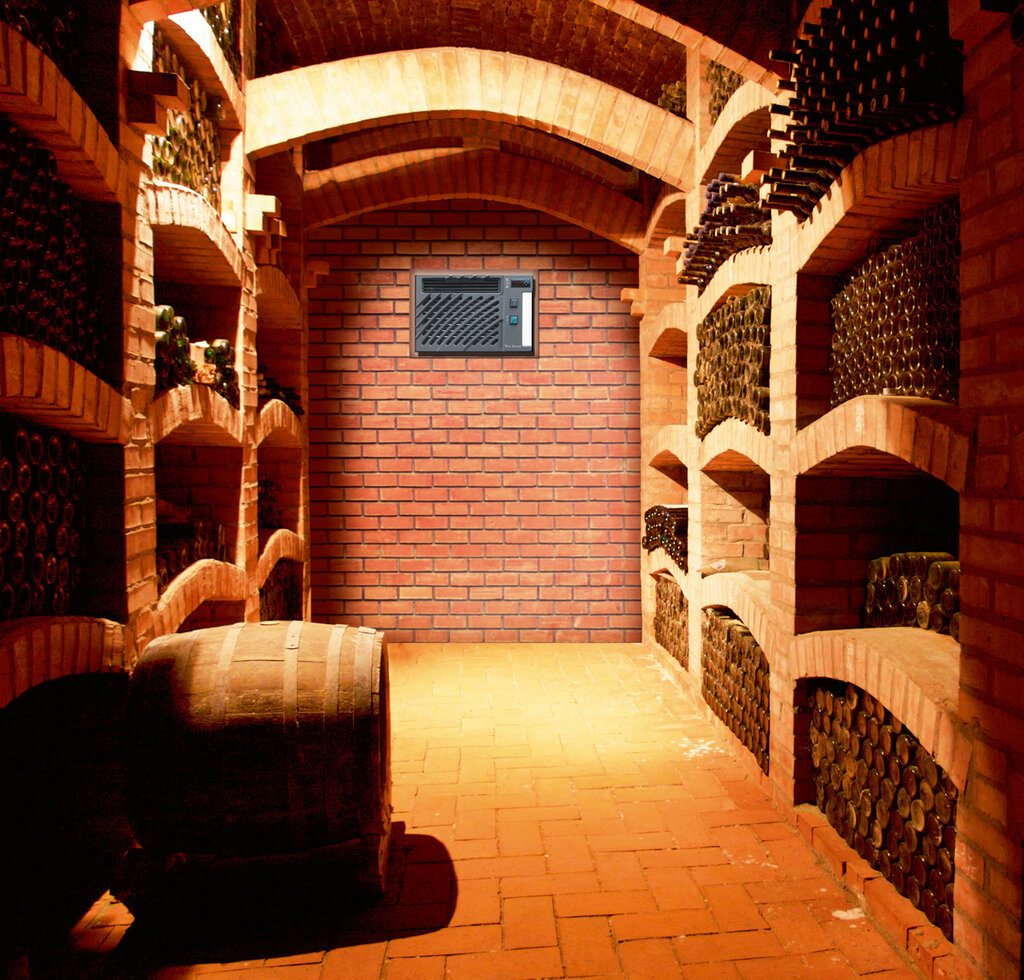 Beyaz eşya mağazaları Pogreba Bakhusa, Saint‑Petersburg, foto