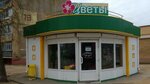Flower shop (Minskaja region, Zhodzina, 7-y mikrorayon), çiçekçiler  Zhodzina'dan