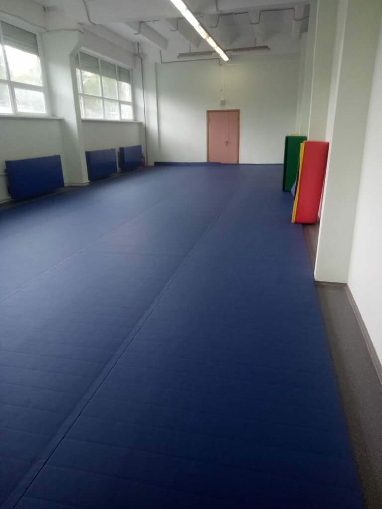 Spor kulüpleri Bayder Aikido Aikikai, Moskova, foto