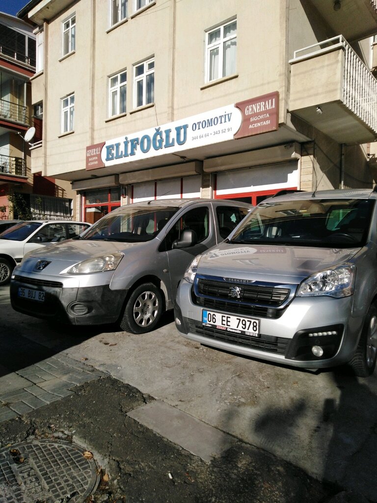 Otomobil satış galerileri Elifoğlu Otomotiv, Ankara, foto