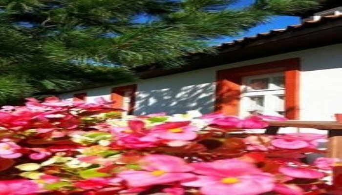 Otel Ontika Manor, Ida‑Viru Vilayeti, foto