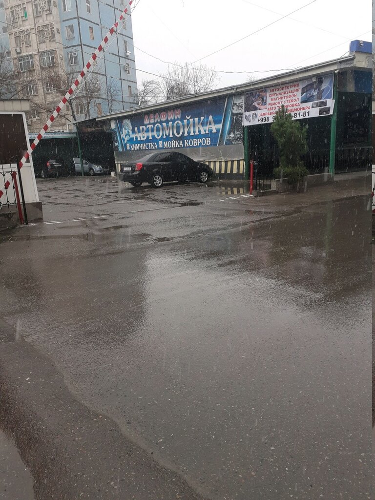 Oto yıkama Delfin, Taşkent, foto
