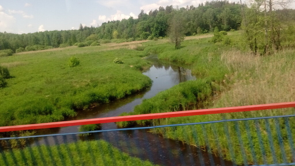 Kültür ve eğlence parkları Зона отдыха на р. Сенна, Mogiliovskaya oblastı, foto