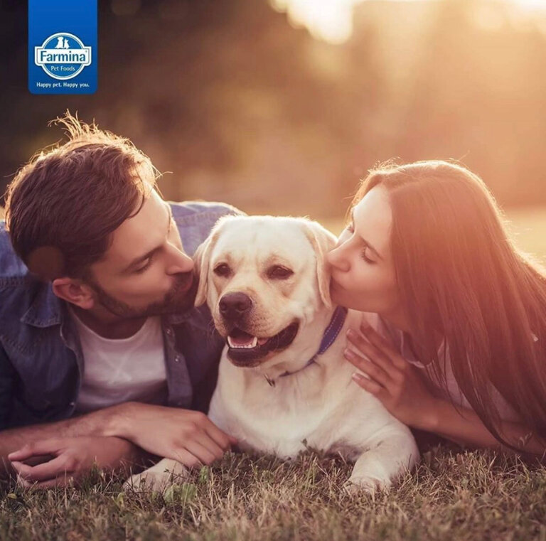 Petshop Mydoctorzoo.ru, Moskova, foto