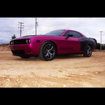 The Wrap Shop (United States, Waukesha, 20711 Watertown Rd Suite A1), mühendislik firmaları  Brookfield'den