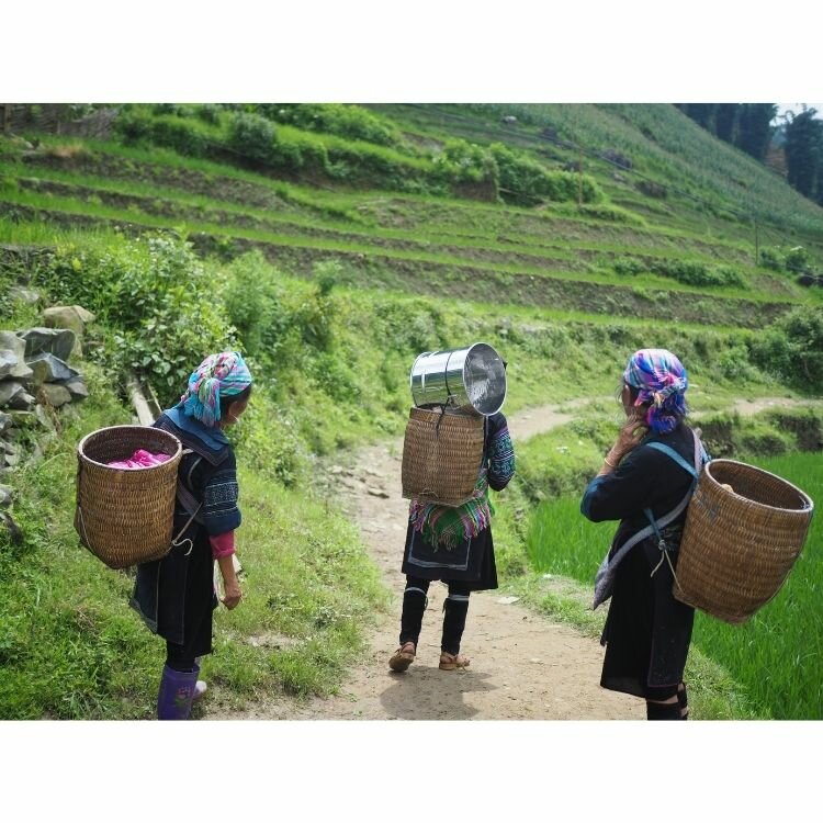 Banka Coopmujer Ltda, Bucaramanga, foto