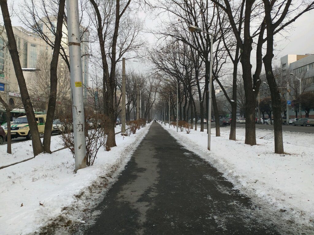 Kültür ve eğlence parkları Abay Oak Alley, Almatı, foto