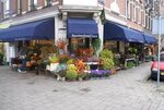 Amsterdam Flora (Amsterdam, Eerste Constantijn Huygensstraat), çiçek teslimatı  Amsterdam'dan