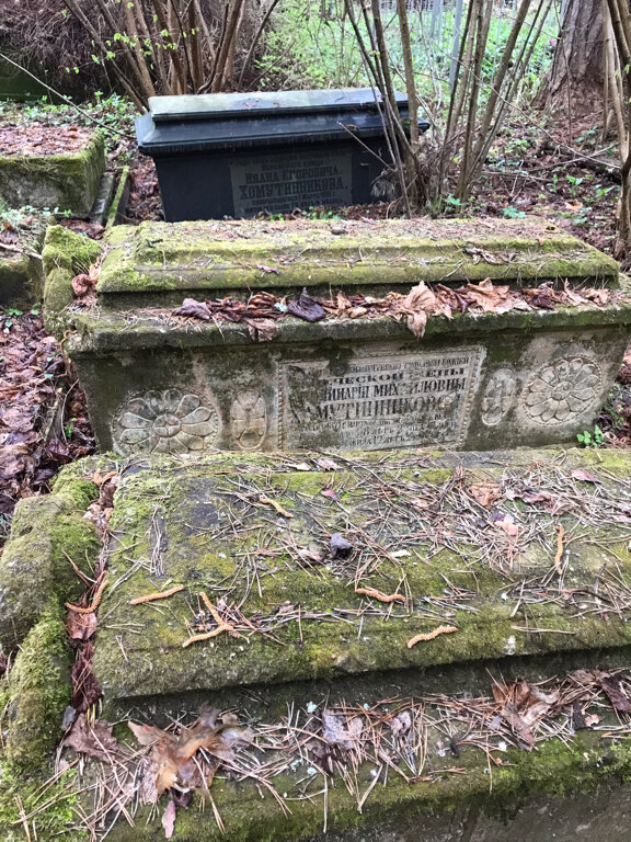 Mezarlıklar Старообрядческое кладбище, Moskova ve Moskovskaya oblastı, foto