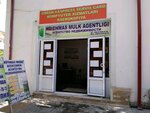 Real Estate Agency (Al-Biruni street No:41А), emlak ofisi  Semerkant'tan