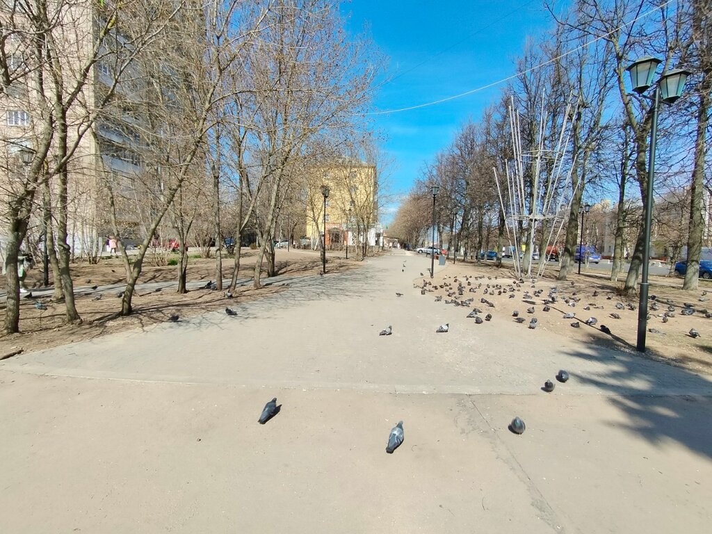 Meydan Введенский сквер, İvanovo, foto