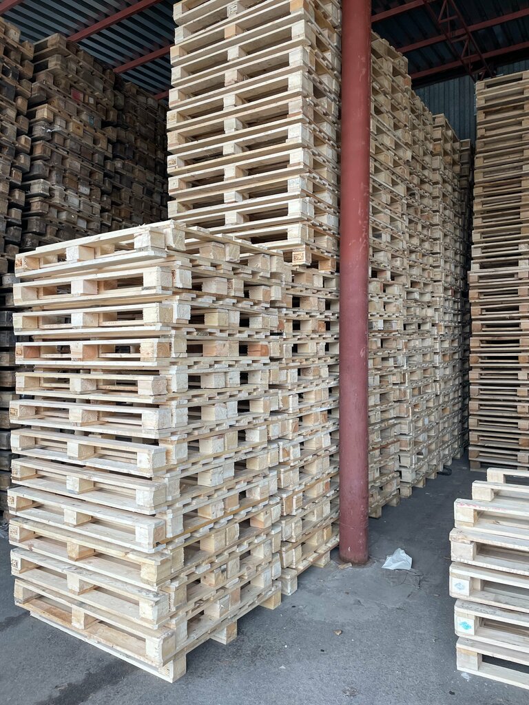 Paletler Poddontreyd, Voronej, foto