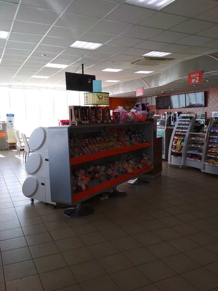 Benzin istasyonu Lukojl, Lipetskaya oblastı, foto