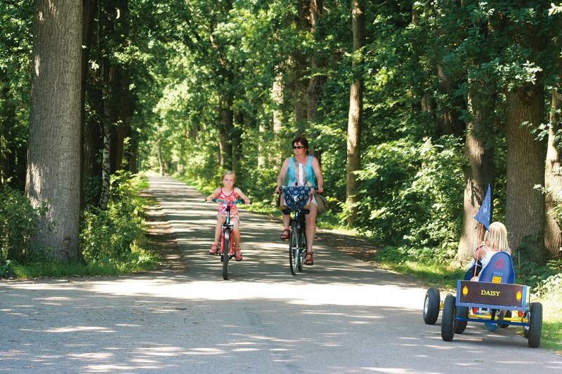 Kamp alanları De Ikeleane Camping, Friesland, foto
