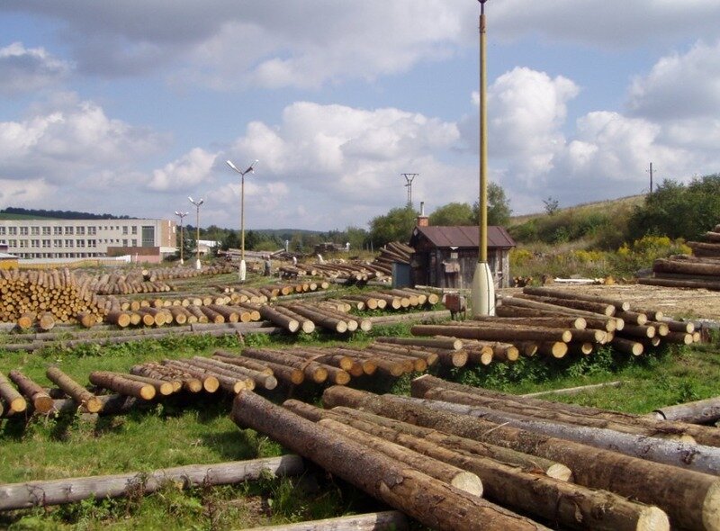 Toplu taşıma yönetimi ve bakımı Chodská Pila Srnka S. R. O., Horsovsky Tyn, foto