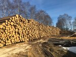 Vologda Forest (Krasny pereulok No:44), kereste üretim ve satış şirketleri  Ustugna'dan
