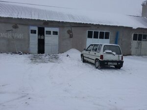 Auto Electric Repair (Khorezm Region, Urban Settlement of Yangibazar), otomobil servisi  Harezm eyaletinden