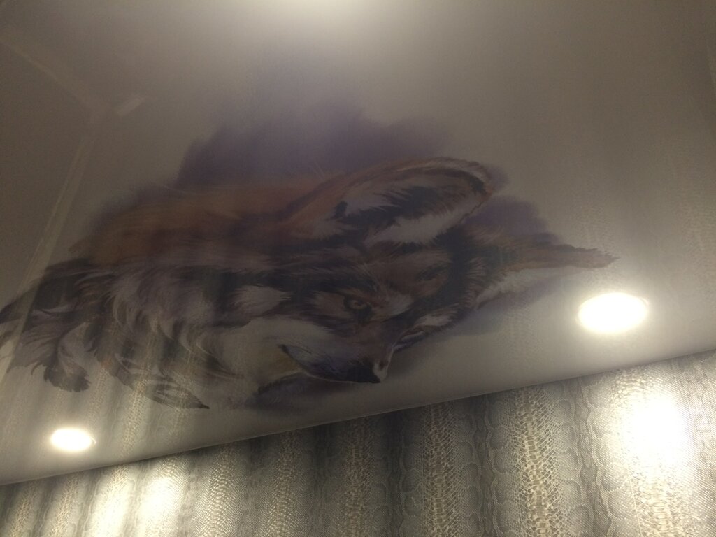 Tavan sistemleri Studio Econovo, Krasnodar, foto