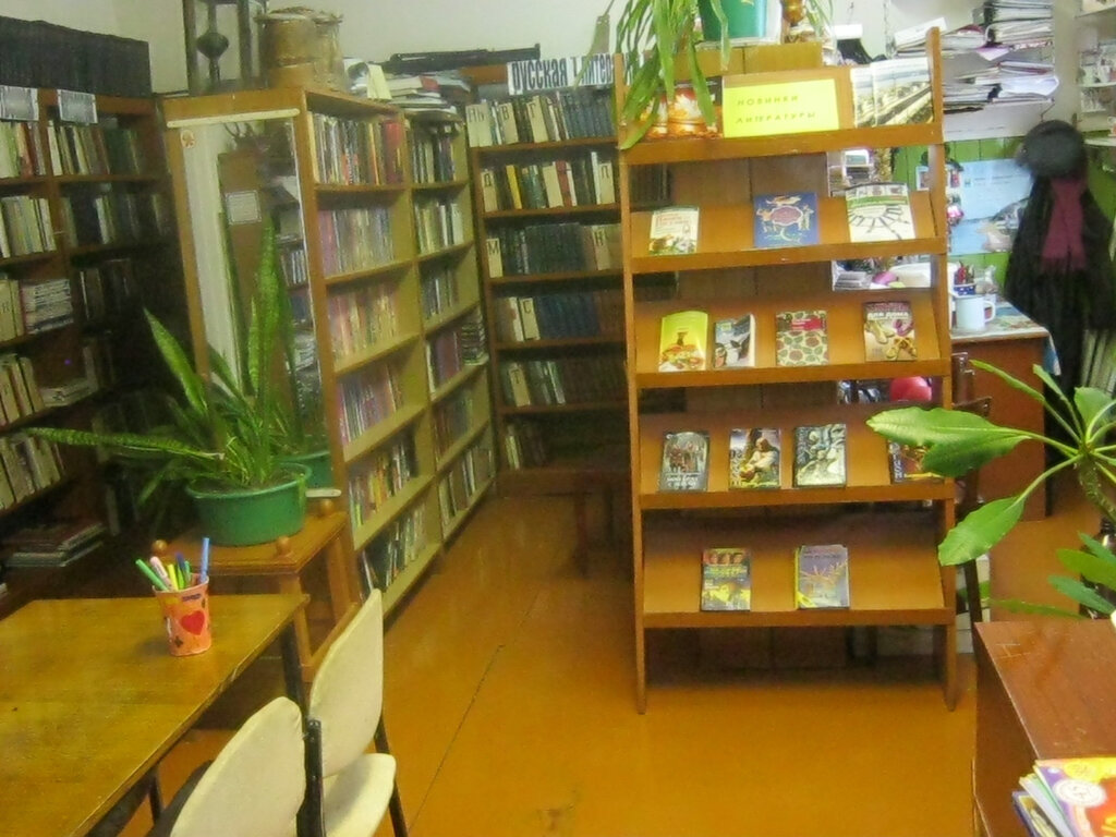 Kütüphaneler Neritskaya Library, branch № 1, Ust-Tsilemskaya Centralized Library System, Komi, foto
