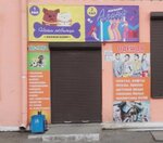 Наши любимцы (ulitsa Rodiny No:9, mikrorayon Zagorsk), petshop  Ulan‑Ude'den