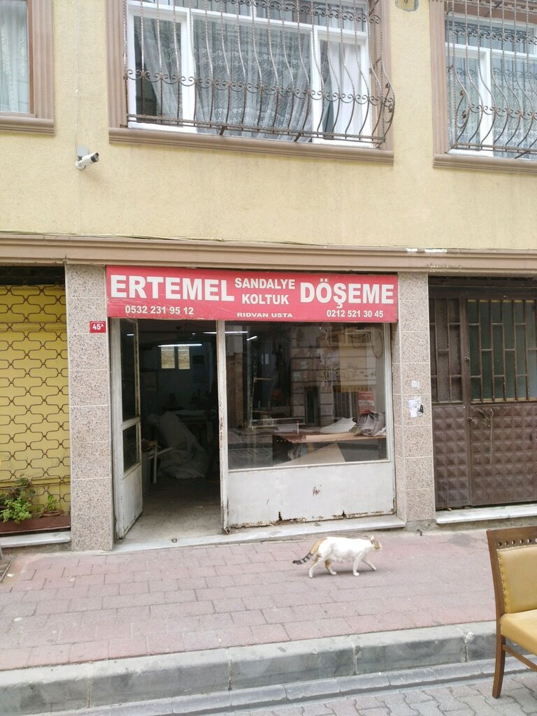 Ev mobilyası Ertemel Sandalye Koltuk Döşeme, İstanbul, foto