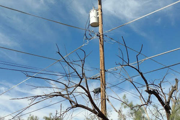 Bahçe ekipmanları ve teknolojileri Branching Out Tree Service, Arizona Eyaleti, foto