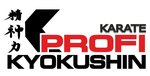 Киокушин Профи (ulitsa Pushkina No:34), spor kulüpleri  Blagoveshchensk'ten