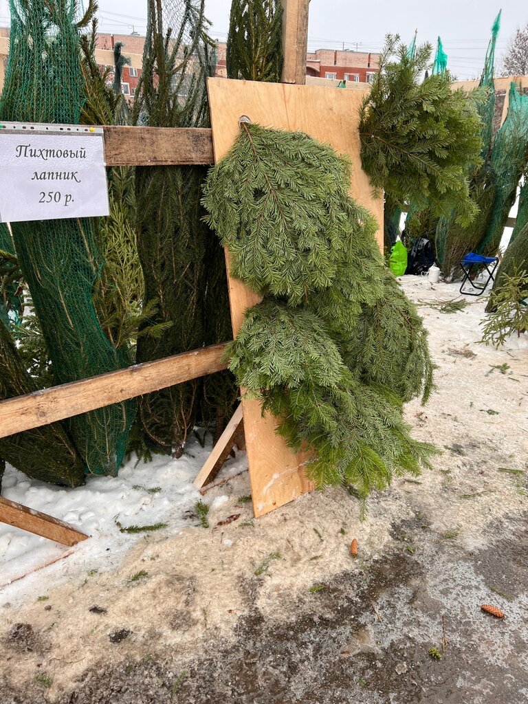 Çam ağacı pazarı Ёлочный базар, Puşkin, foto