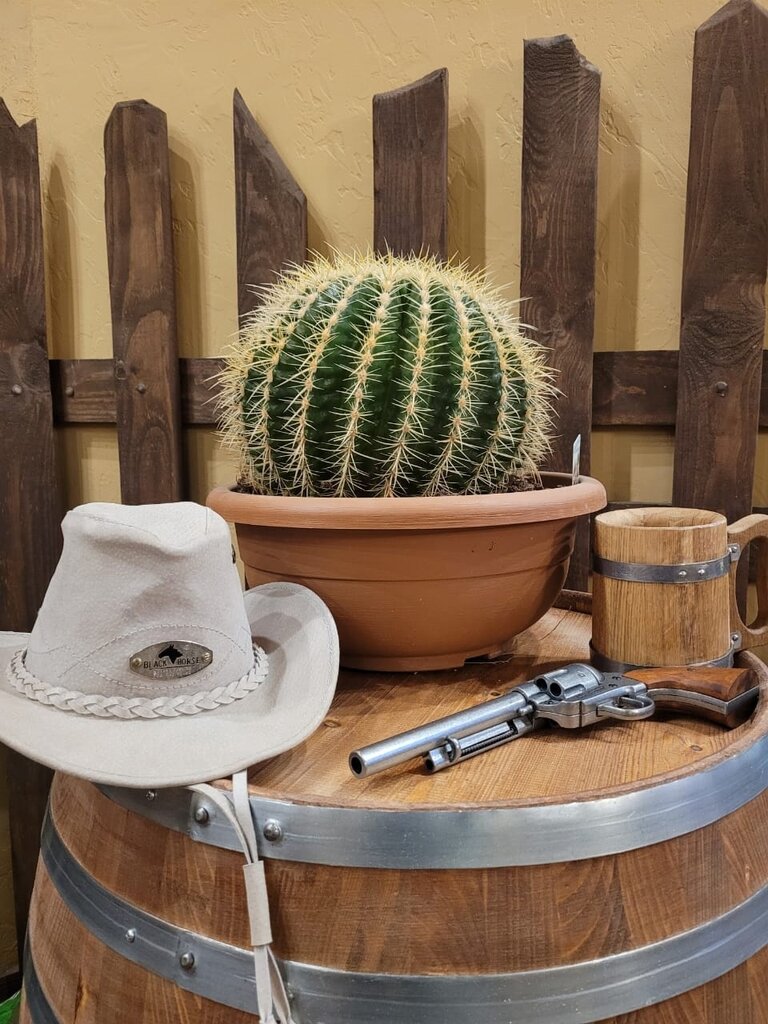 Bilardo salonları Saloon Cactus, Pskovskaya oblastı, foto