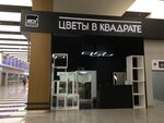Цветы в квадрате (Sheremetyevskoye Highway No:вл37, Khimki), çiçekçiler  Himki'den