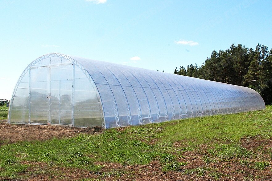 Sera ekipmanları Zavod Gotovih Teplic, Saint‑Petersburg, foto