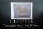 Chepper Trimsalon V Hond & Kat (Schipholtstraat No:297), evcil hayvan kuaförleri  Enschede'den
