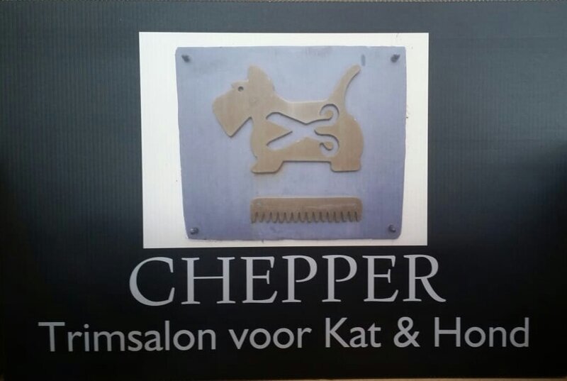 Evcil hayvan kuaförleri Chepper Trimsalon V Hond & Kat, Enschede, foto