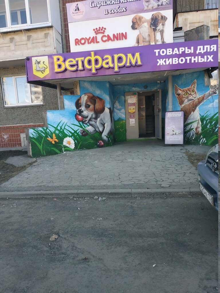 Evcil hayvan kuaförleri ЛедиМур, Çeliabinsk, foto