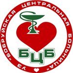 Bobruisk Central Hospital (vulica Haharyna No:34), hastaneler  Bobruisk'ten