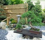 Albonsai (Viale Certosa No:242), çiçek teslimatı  Milano'dan