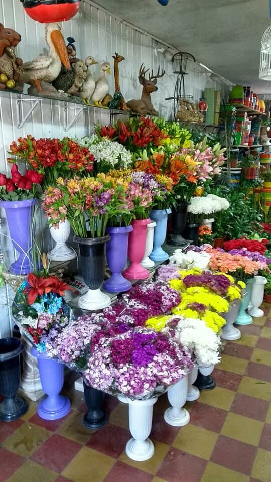 Çiçek teslimatı Floreria La Nueva Rasil, , foto