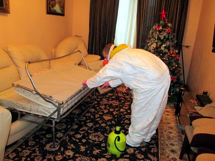 Haşere ilaçlama firmaları OtKlopov, Moskova, foto