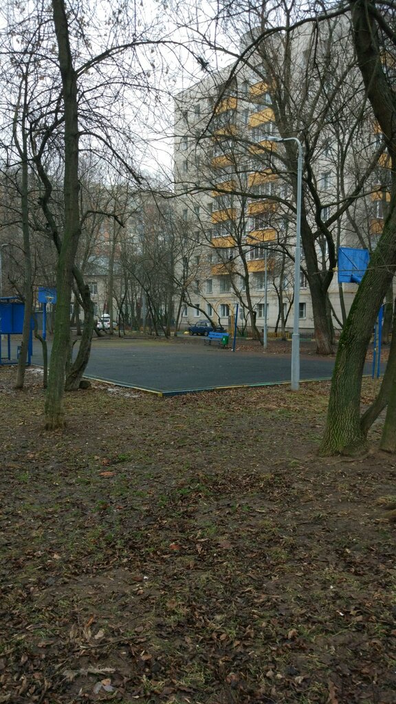 Spor alanı Баскетбольная площадка, Moskova, foto