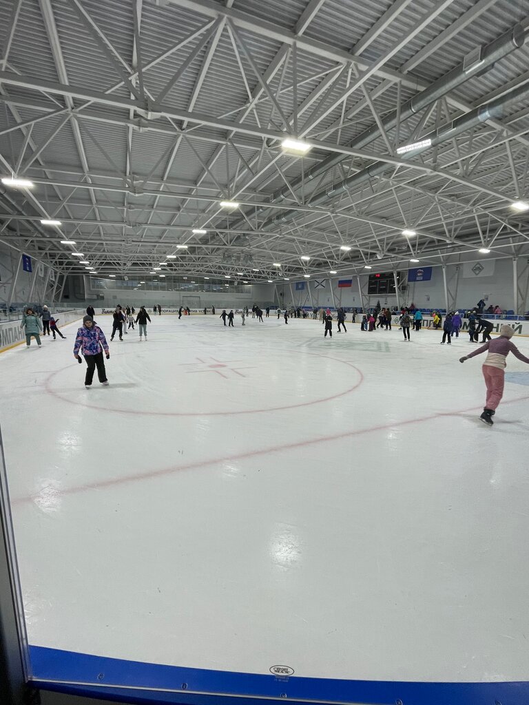 Buz pateni pistleri Ледовый дворец, Arhangelskaya oblastı, foto