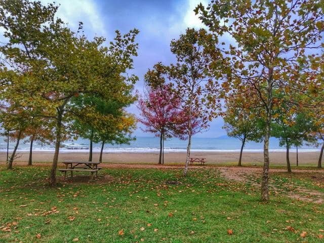 Plaj Fatsa Uzunkum Plajı, Fatsa, foto