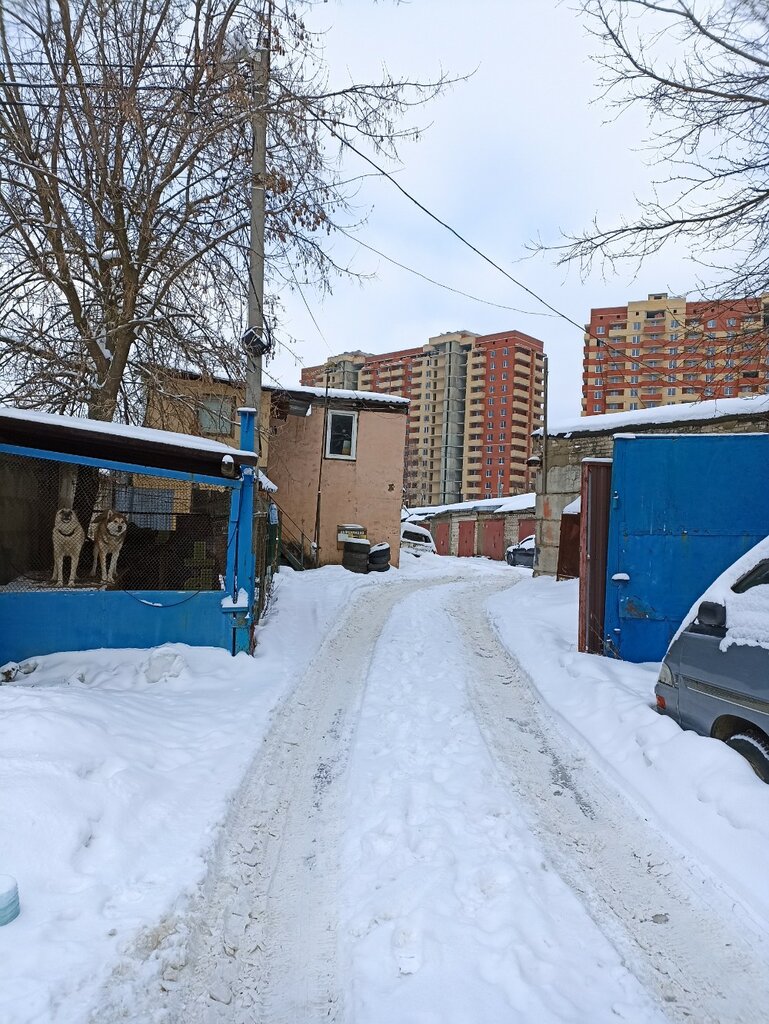 Garajlar Авиатор, Balaşiha, foto