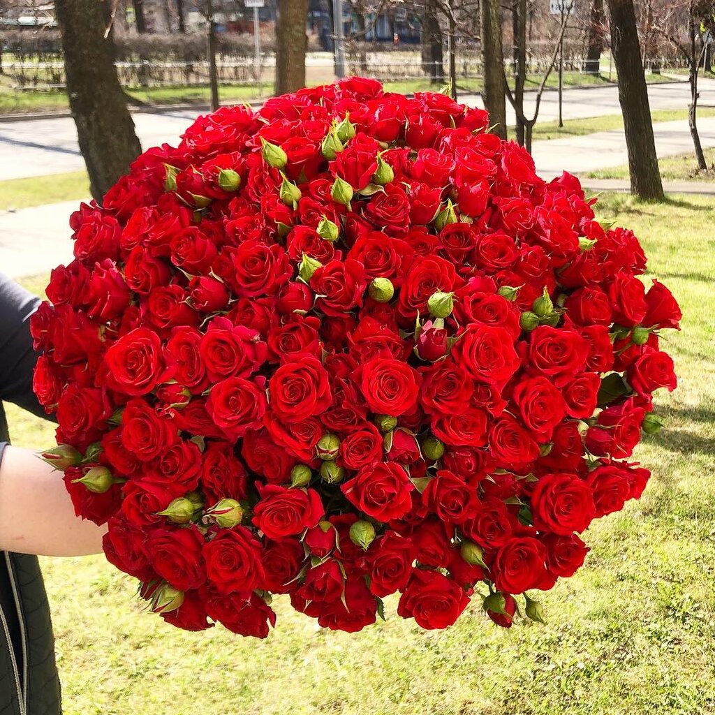 Çiçekçiler Cupidon Flowers, Moskova, foto