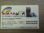 Milashki (Fomichovoy Street No:12к1), evcil hayvan kuaförleri  Moskova'dan