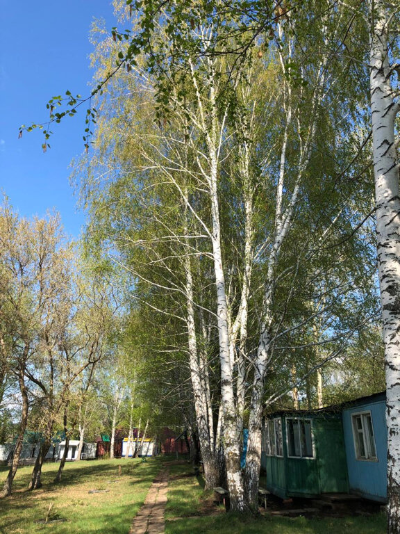 Resort oteller, tesisler Буревестник, Tataristan, foto