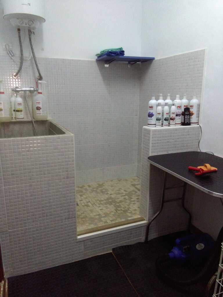 Evcil hayvan kuaförleri Aqua Dog Peluqueros Caninos, Castellon de la Plana, foto